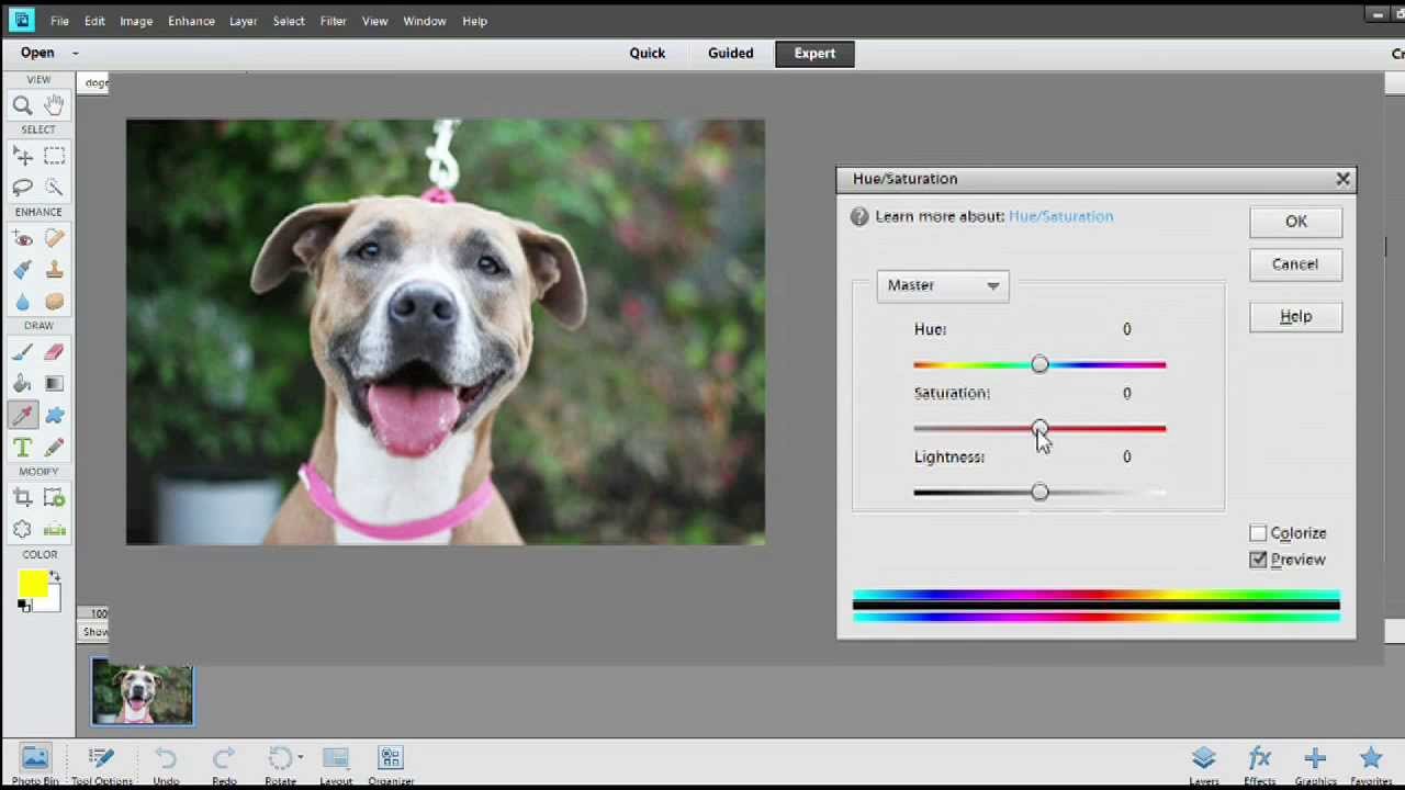 Post-Production with Photoshop Elements : One Picture Saves a Life